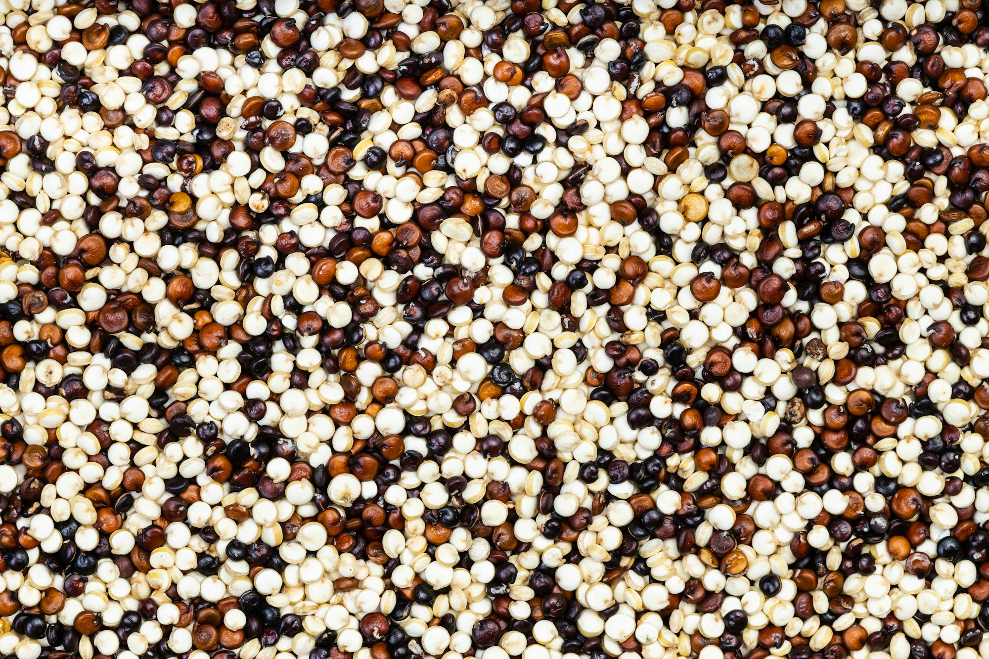 15 Surprising Facts About Quinoa: The Ancient Superfood