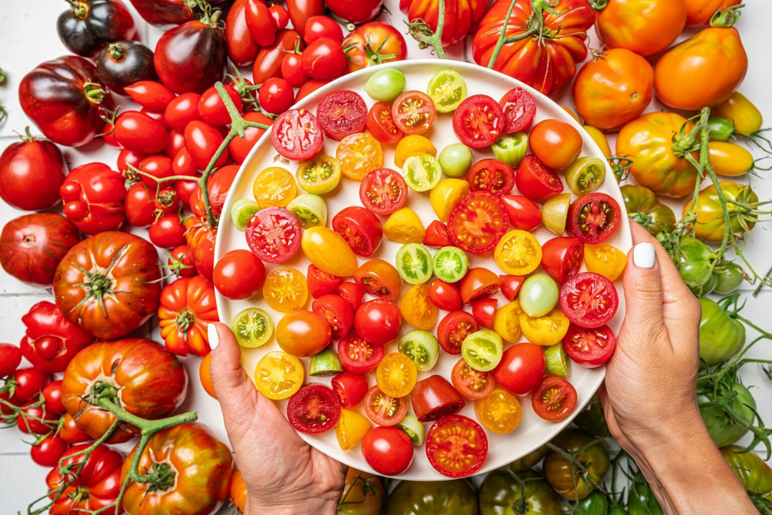 17 Fascinating Facts About Tomatoes: From Garden to Plate
