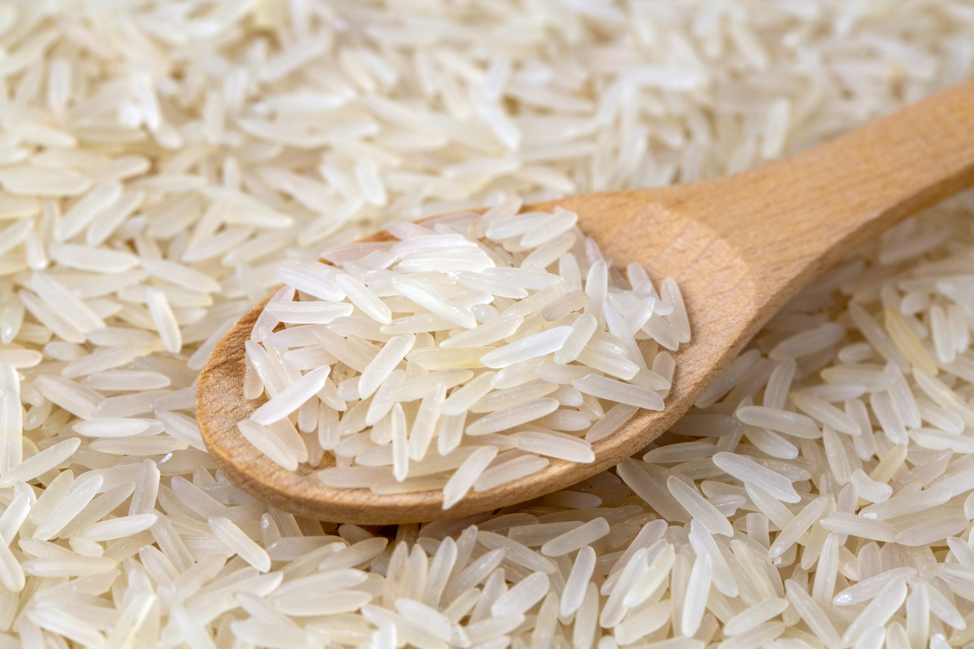 Discover 10 Intriguing Facts About Basmati Rice