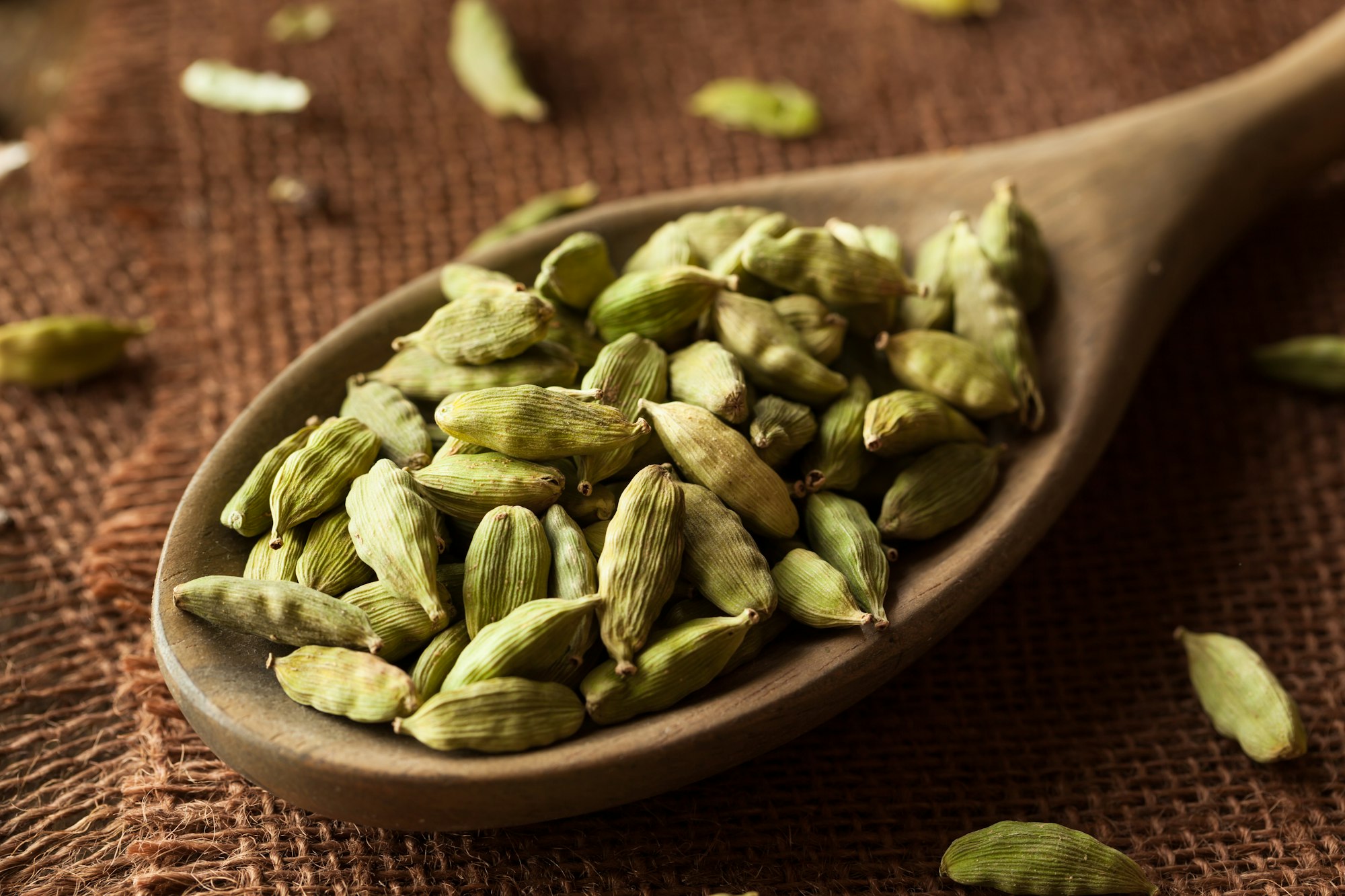 15 Fascinating Facts About Cardamom: The Queen of Spices