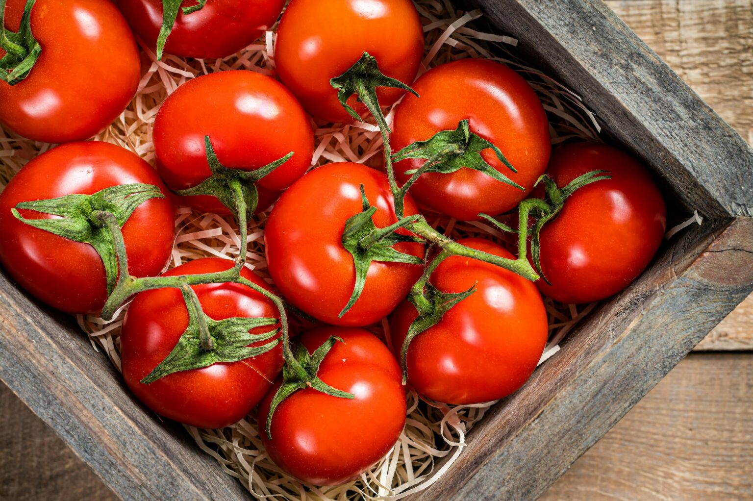 17 Fascinating Facts About Tomatoes: From Garden to Plate