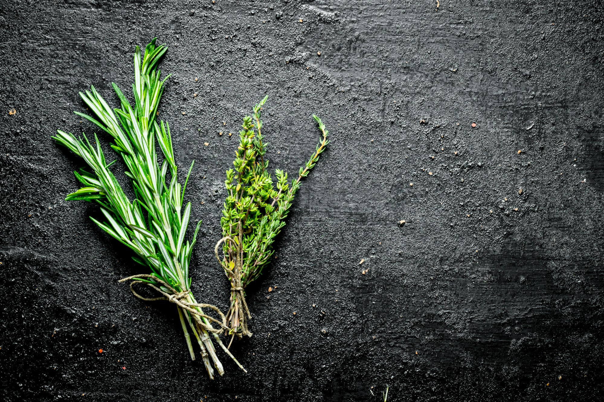 15 Surprising Facts About Rosemary: Nature's Wonder Herb